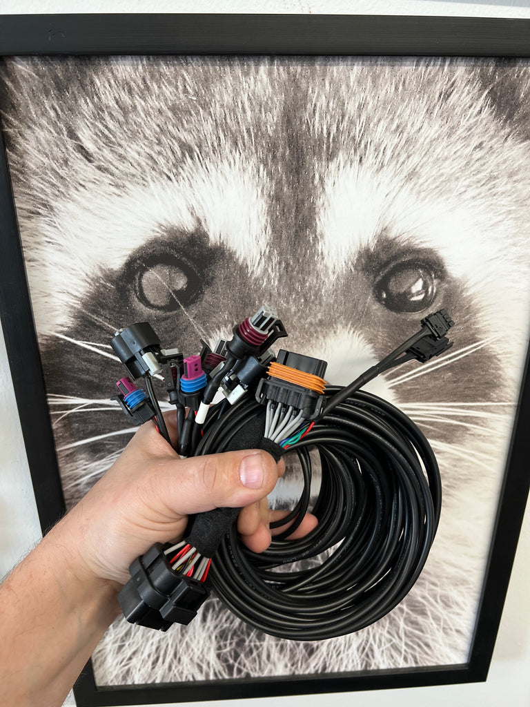 Holley Can IO Box Pre-terminated PNP Harness – Sloppymechanics.com