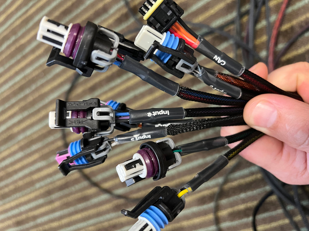 Holley Can IO Box Pre-terminated PNP Harness – Sloppymechanics.com